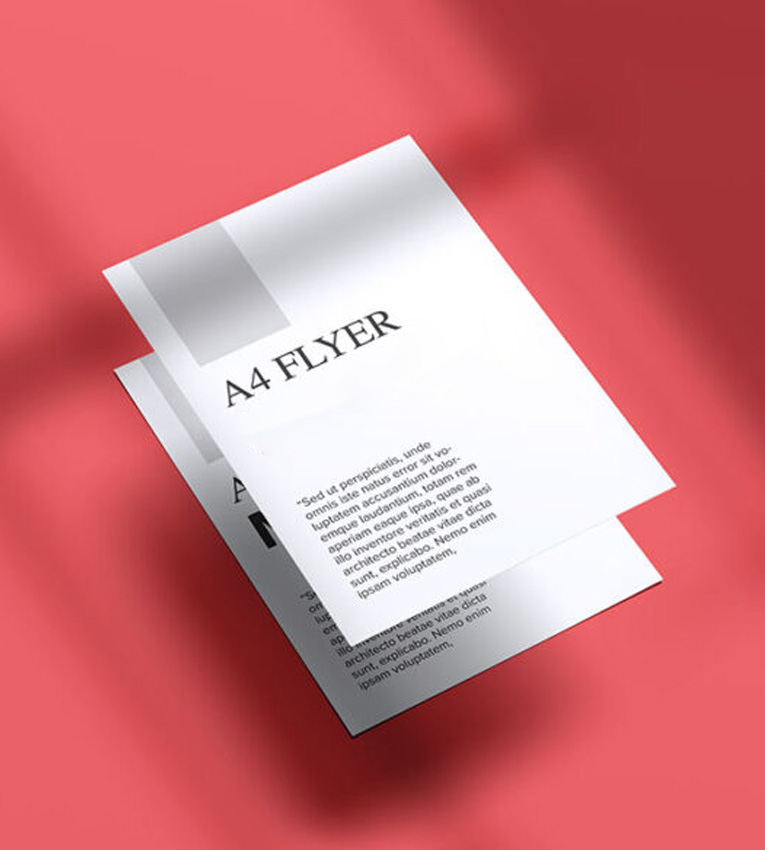 Custom Flyer Printing Services at Empress Packaging