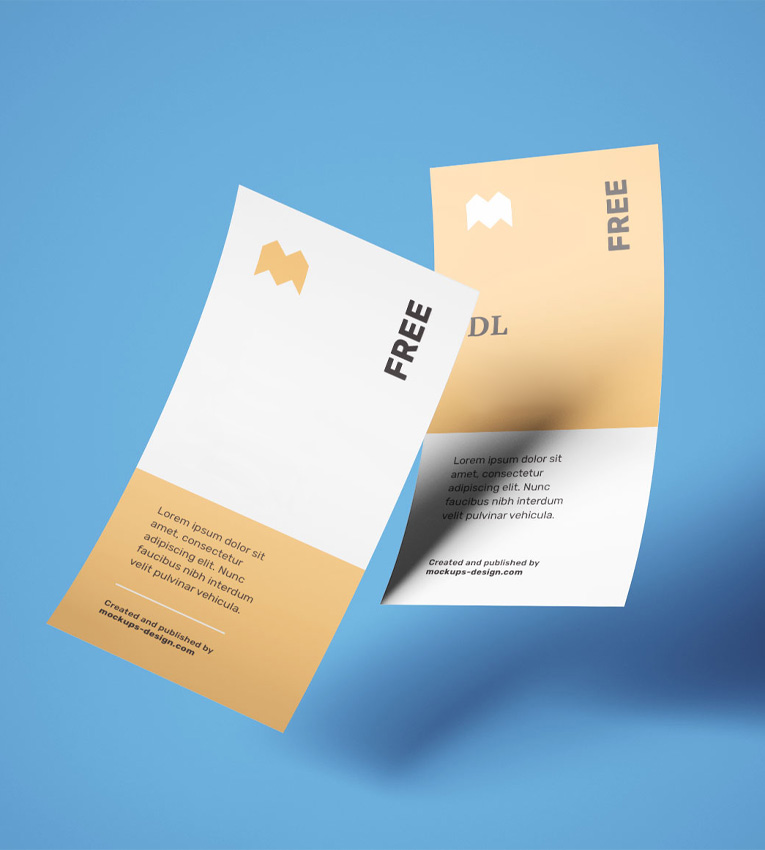 Custom Flyer Printing Services at Empress Packaging