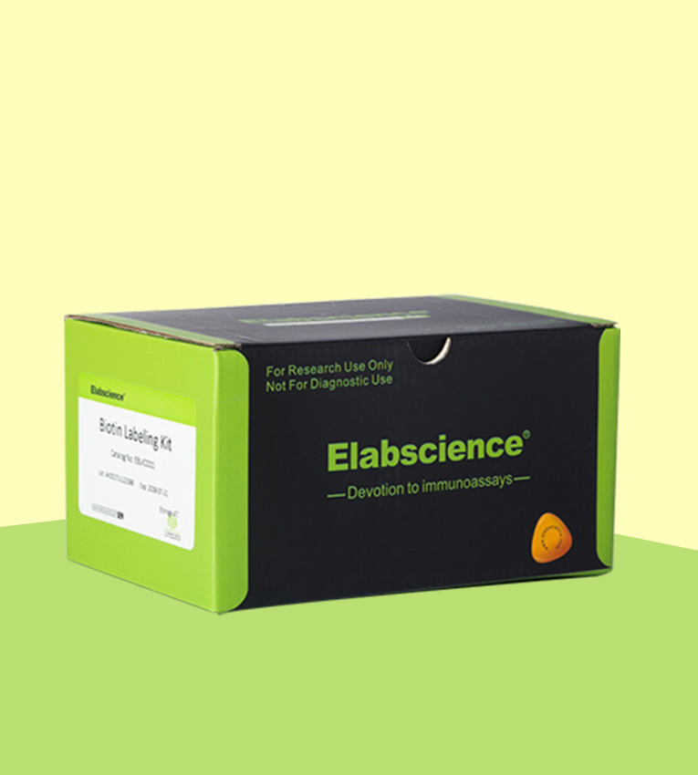 Custom Pharma Packaging Boxes - Empress Packaging