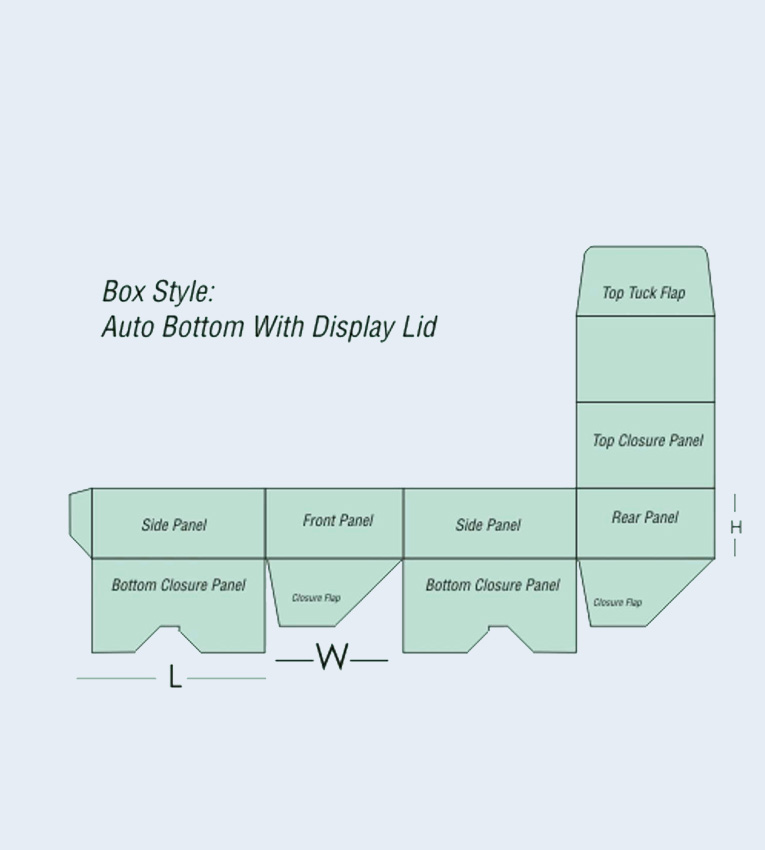 Auto Bottom Boxes Template